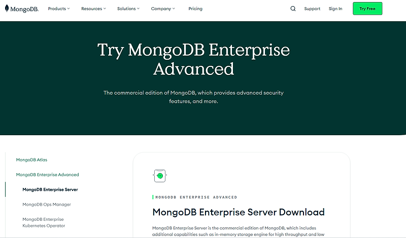 window에 MongoDB 설치하기