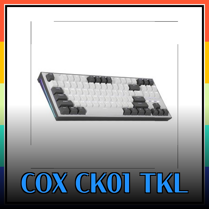 저소음 적축 텐키리스 키보드 추천: COX CK01 TKL & 씽크웨이 토체티 D&T 콜라보 비교분석