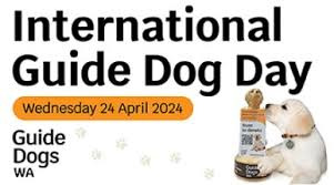 국제 안내견의 날 The International Guide Dog Day