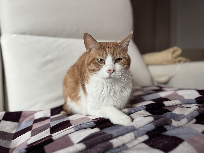 20250301-2. 힐링의 1박 2일.