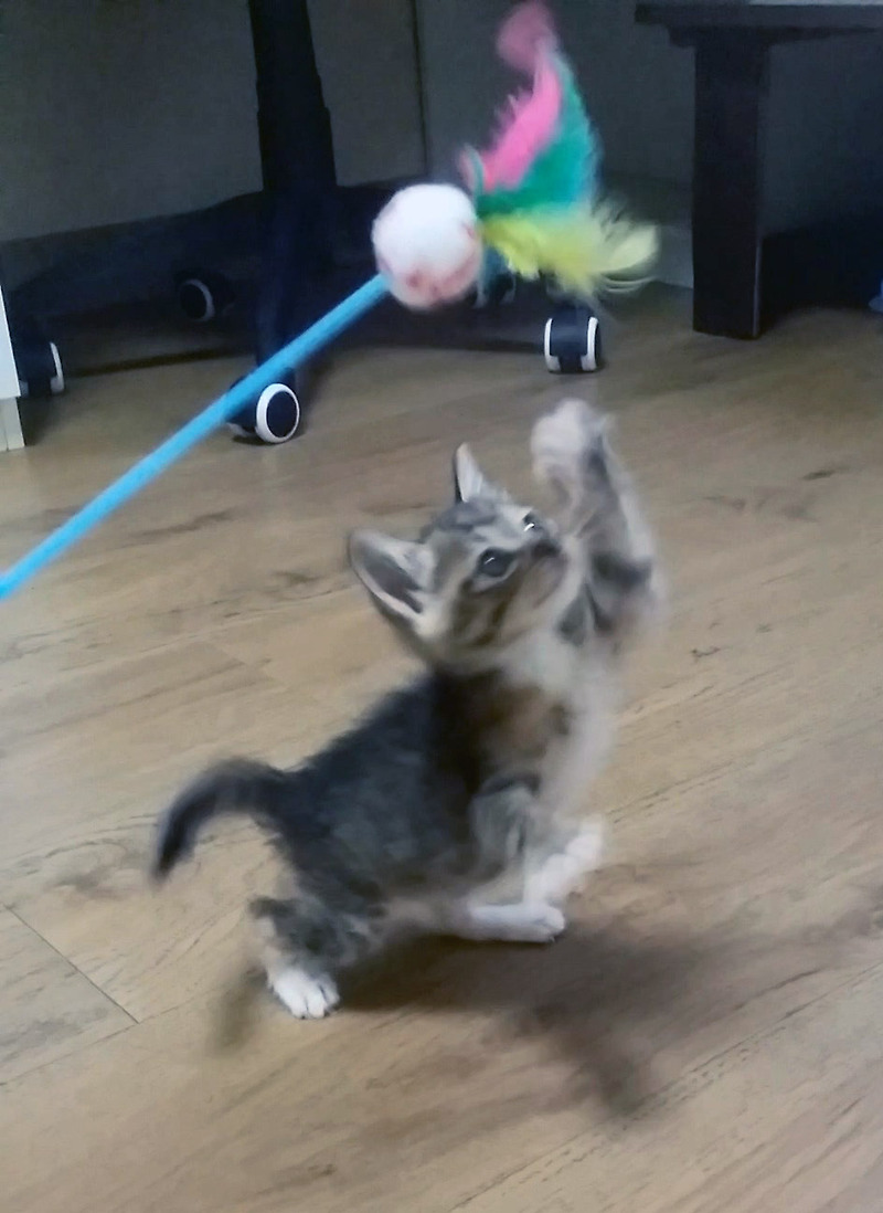 선우정아 - 백년해로 (SWJA - Eternity)