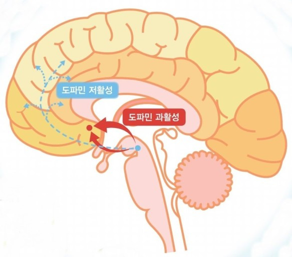 A Tale of Mental Illness - Elyn Saks