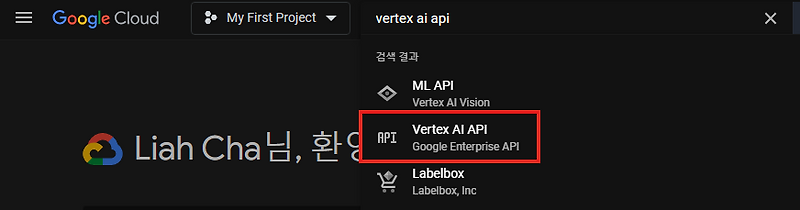 [Google Cloud] Vertex AI Studio 및 API 사용 설정