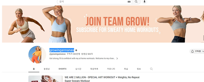 홈트용 추천 유튜브 채널 2 : growingannanas (초급~중/고급)