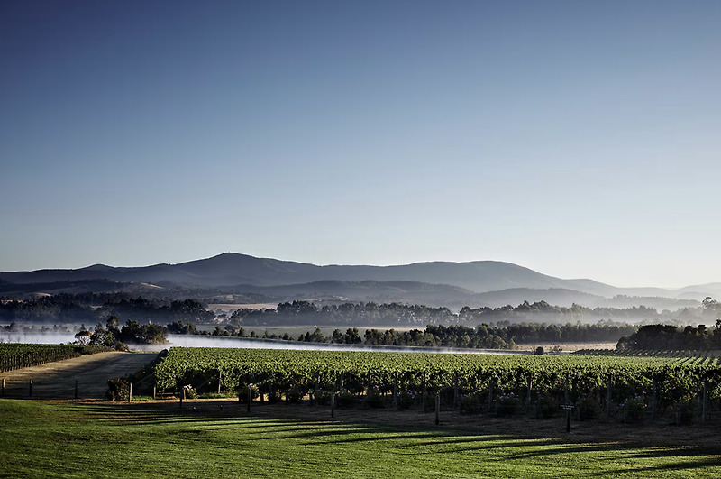 Melbourne VIP Winnery Tour