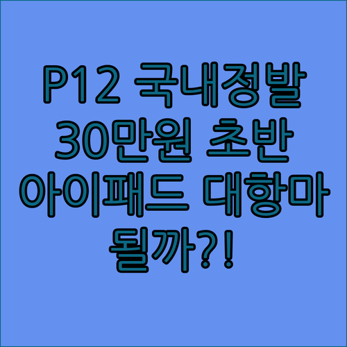 레노버 P12 QHD 256GB 국내 정발! 30만원 초반대, 아이패드 대항마 될까?