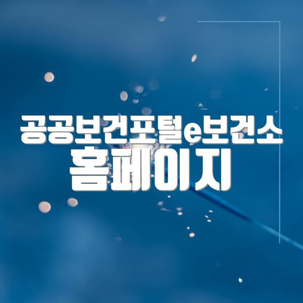 공공보건포털e보건소 홈페이지 바로가기(https://www.e-health.go.kr/)