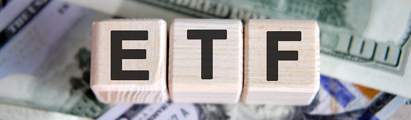 미국 ETF 주간 수급 동향 (25년 2월8일)