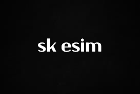 추가정보 sk esim 실시간 리뷰입니다