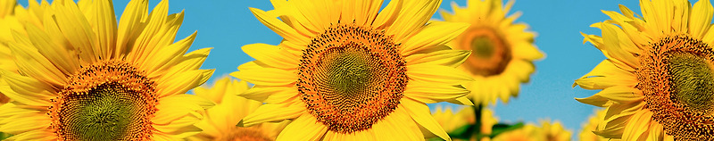 상상을 초월하는 약속들 Unimaginable Promises