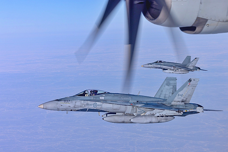 NORAD 지휘하에 미공군과 캐나다공군 Frozen Musk Ox 수행