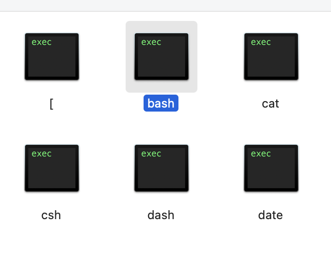 STS EXC_CRASH (SIGKILL (Code Signature Invalid)) 에러 — 라둥이