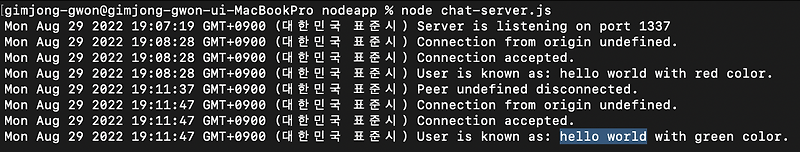 [iOS - swift] WebSocket 사용 방법 (웹 소켓, URLSessionWebSocketTask, URLSessionWebSocketDelegate)