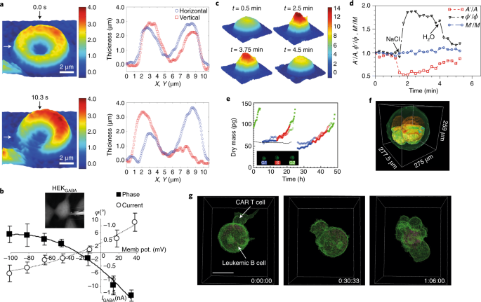 QPI: 세포와 조직에서 숨겨진 비밀을 밝혀내기
