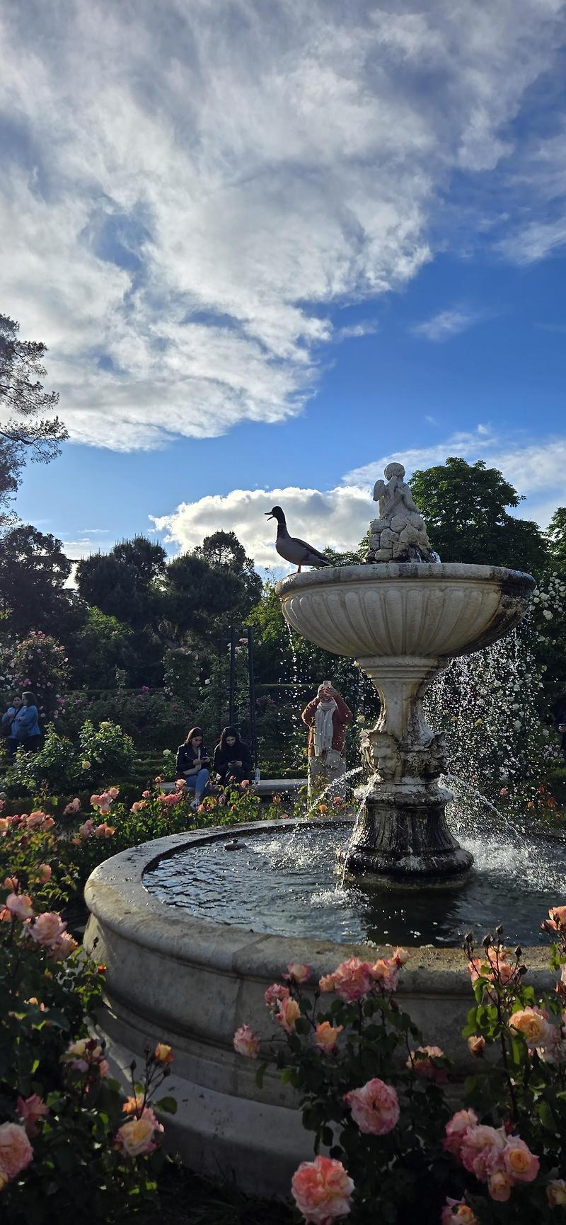 마드리드의 레티로 공원(Parque del Retiro)