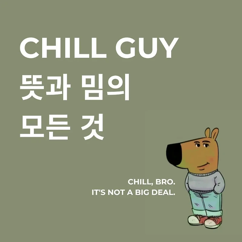Chill Guy 뜻과 밈의 모든 것! 2024년 인기 캐릭터의 탄생과 의미