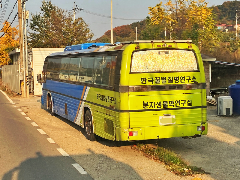 티스도리닷컴 :: [목격] 1996 대우 BH115H (1996 DAEWOO BUS BH115H)
