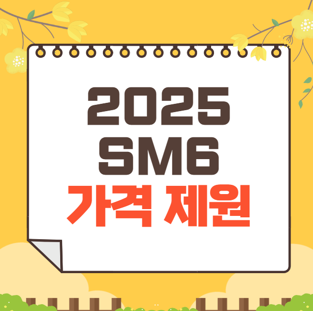 2025 SM6 가격표(신형)