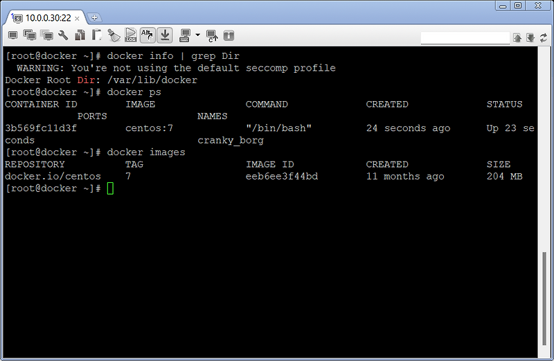 [RHEL] Docker Root Dir 변경