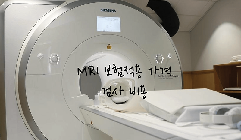 MRI 보험적용 가격 검사 비용