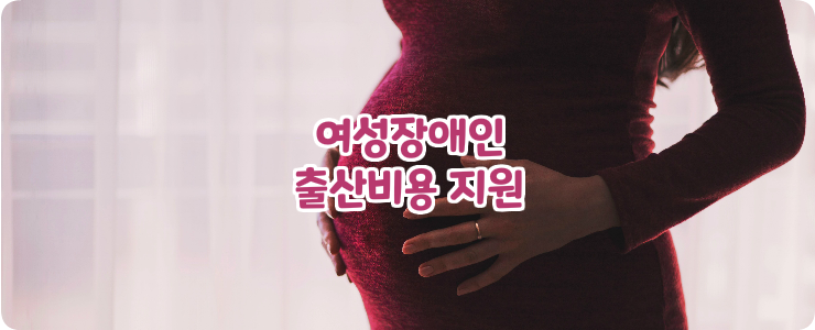 여성장애인 출산비용 지원