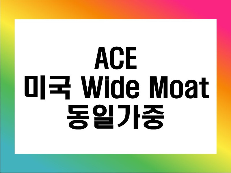 ACE 미국WideMoat동일가중