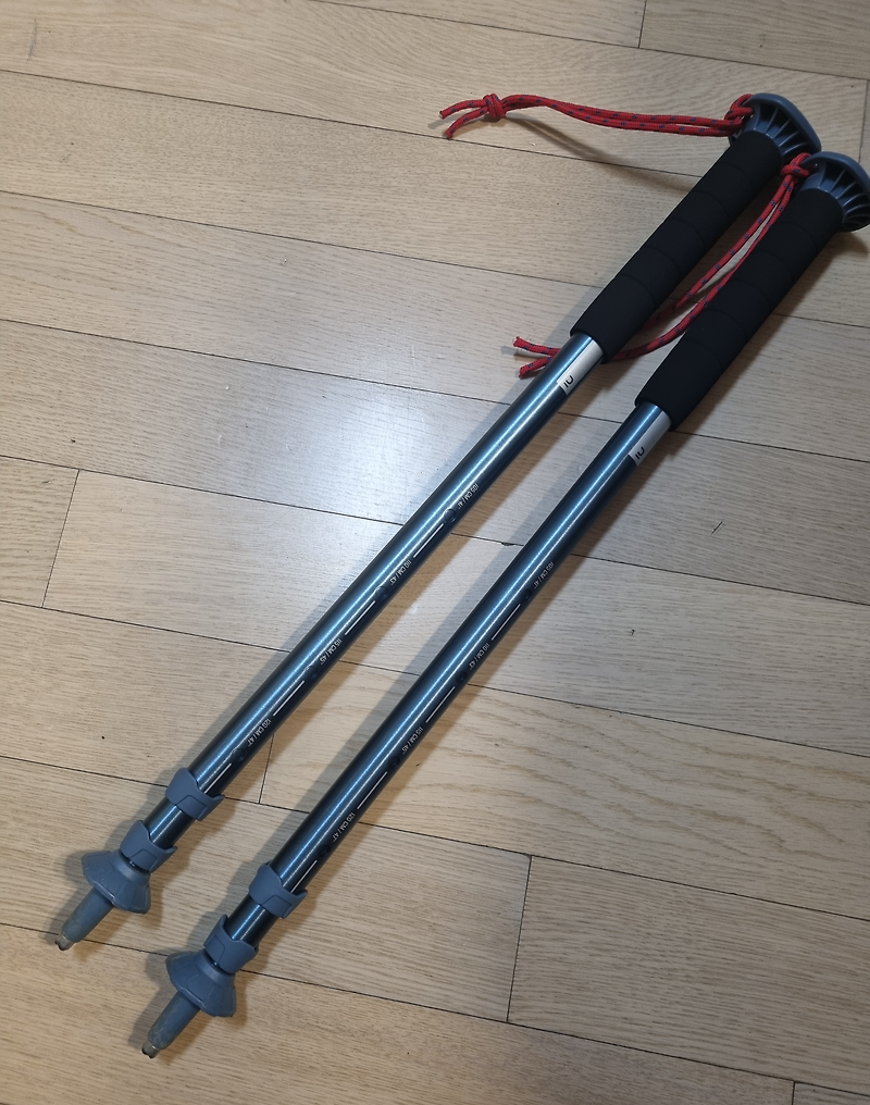 입문자용 등산스틱 - 데카트론 Hike 100 추천, 후기 (산티아고 순례길)