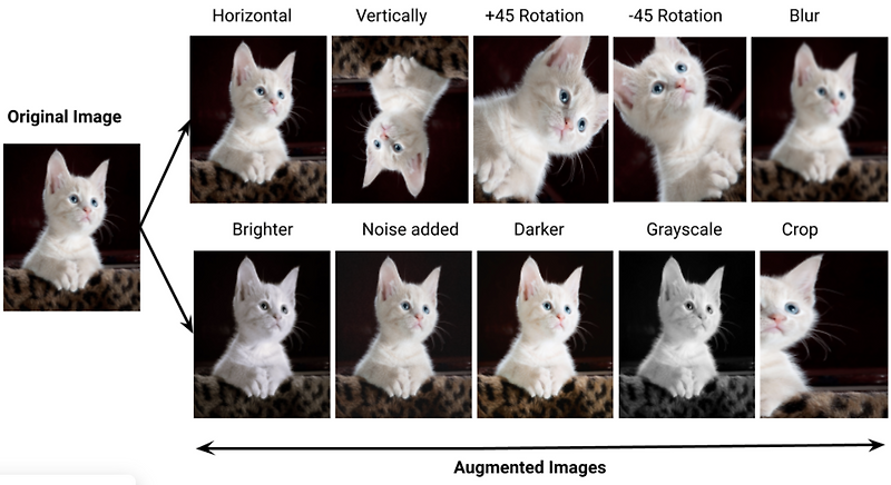 PyTorch Transforms v2로 구현하는 컴퓨터 비전 이미지 증강