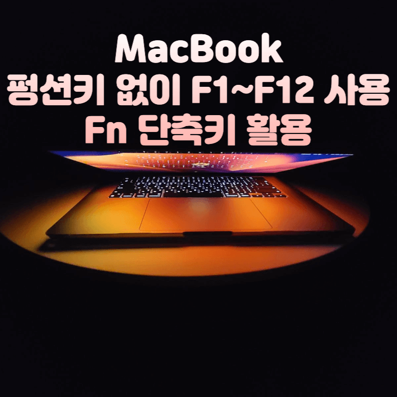 맥북 펑션키(Fn) 없이 F1~F12 사용법 및 펑션키 활용법