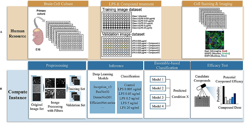 [co-author] Unveiling CNS cell morphology with deep learning: A gateway ...