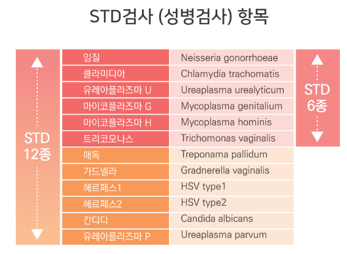 여자성병 std 12종 검사 란? (비용)