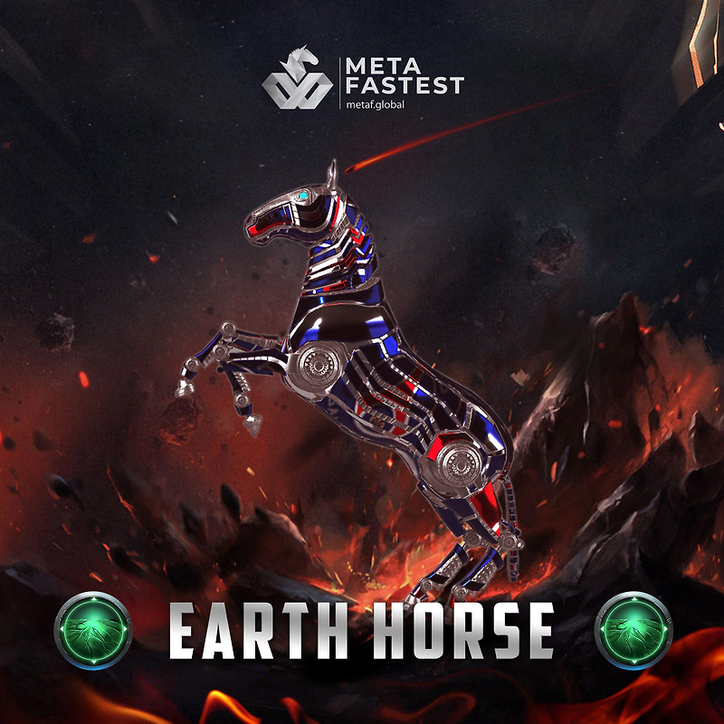 METAFASTEST 사진 모음 :: METAFASTEST