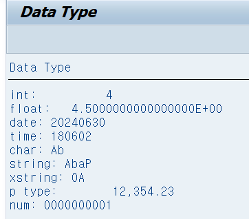 [SAP_ABAP] Data Type - 종류 및 선언(2)