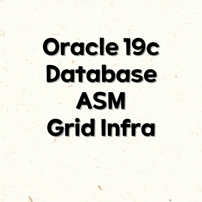 Oracle ASM, Grid Infrastructure, 19c Database 구축(1)