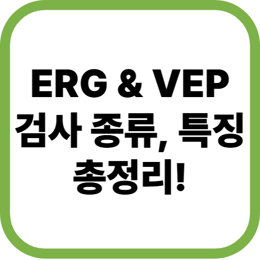 ERG&VEP 검사 총정리!!