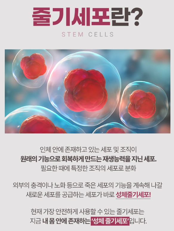 노화 방지, 줄기세포 연구와 기술은 어디까지 발전되었나?