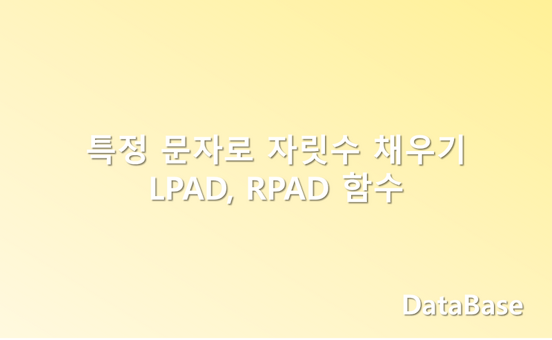 [Oracle] 특정 문자로 자릿수 채우기 LPAD, RPAD 함수