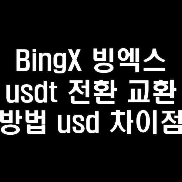 BingX 빙엑스 usdt 전환 교환 방법 | usd 차이점