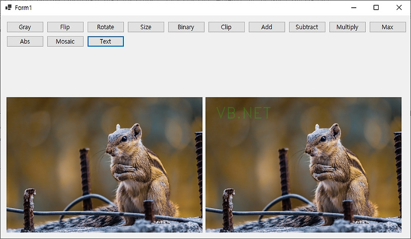 [VB.NET] 차근차근 OpenCVSharp 강좌 - 14. 이미지 위에 글씨 쓰기