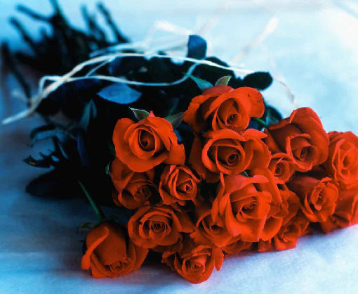 [샹송] Roses Of Picardy - Tino Rossi