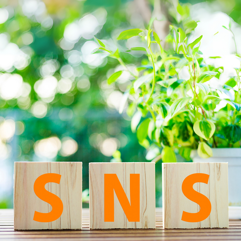 나는 SNS 중독일까?