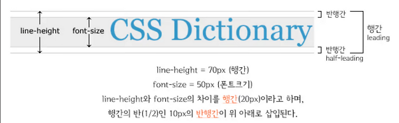 [코드라이언] Text와 Position -Day10-
