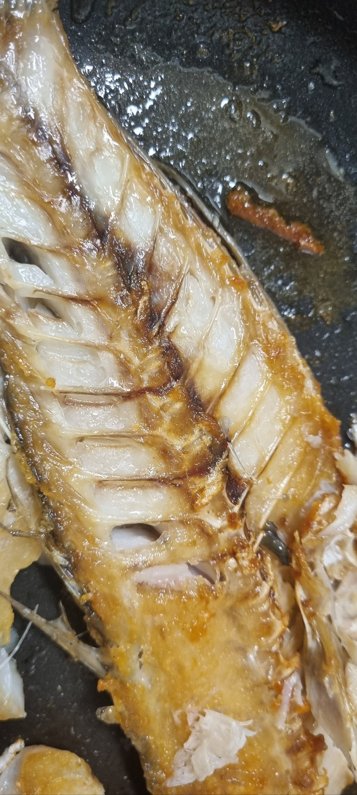 옥돔: 바다의 진주로 불리는 한국의 고급 생선