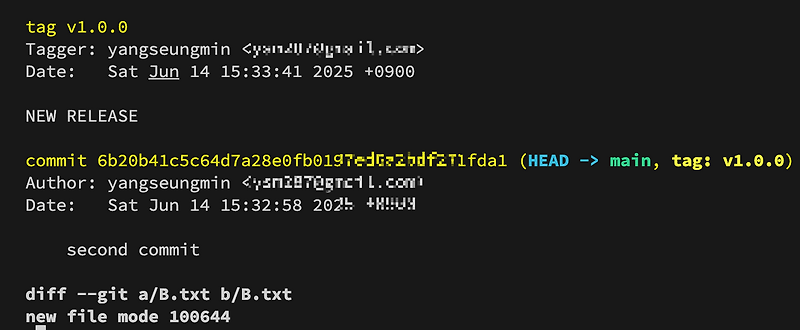 [Git] git tag 활용방법