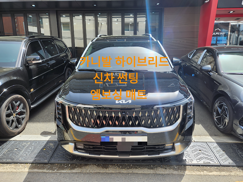 대구 카니발KA4 하이브리드 엠보싱 모빌하임 루마 버텍스1100 :: OTL