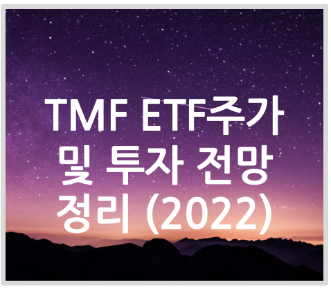 TMF ETF주가 및 투자 전망 정리 (2022)