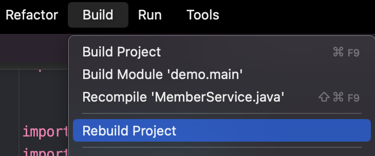 [IntelliJ] 오류해결 Module 'demo.main' production: java.lang.ClassCastException: class :: LST.dev