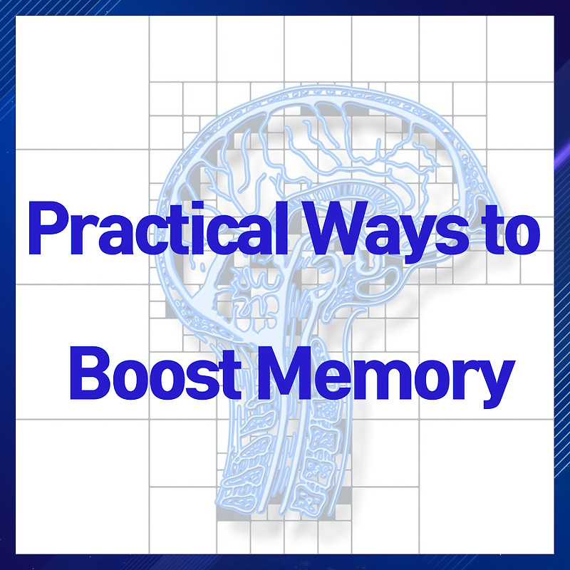 Practical Ways to Boost Memory: Scientifically Proven Tips :: 정보 공유
