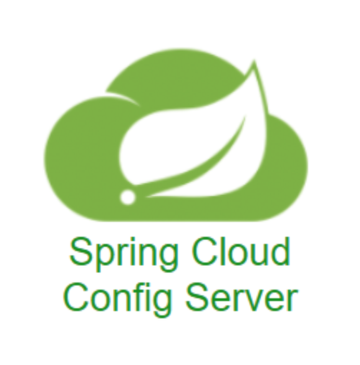 Spring Cloud Config — 너지살개발자
