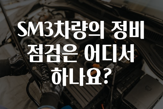 이번 달 SM3차량의 정비점검은 어디서 하나요? 좋은 정보 얻어가세요!